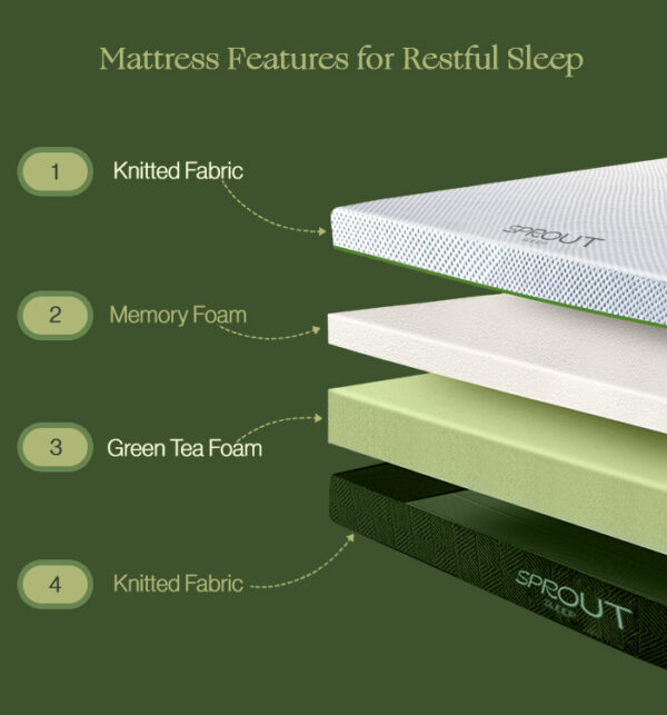 Building a Healthy Sleep Routine and Overcoming Barriers - Sprout Sleep